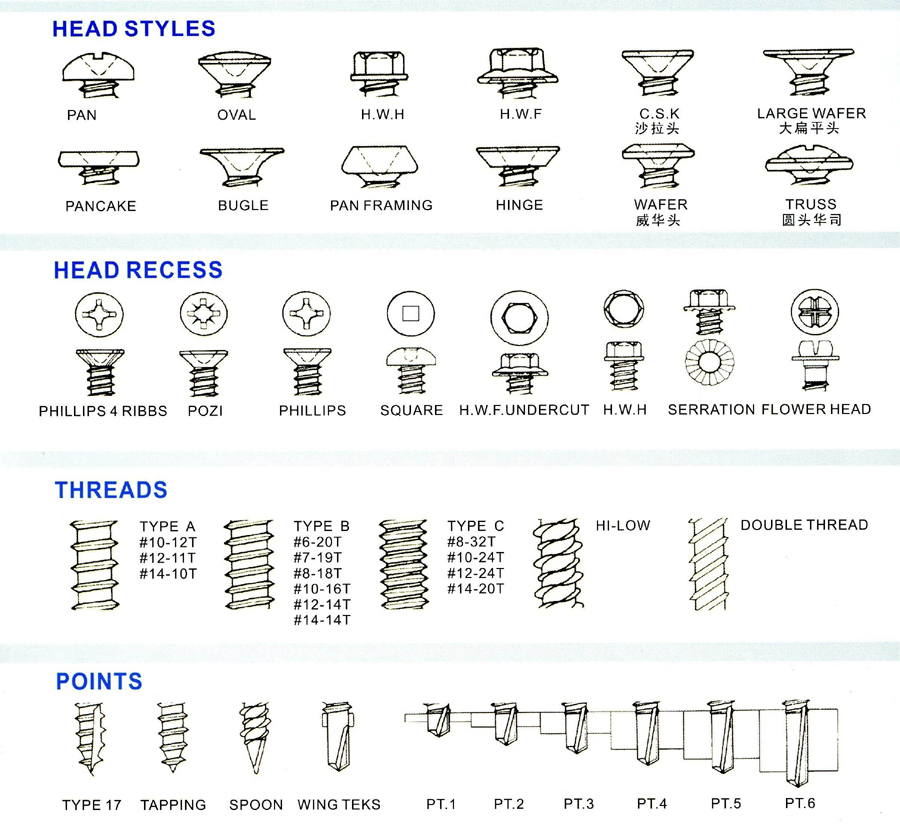 316 Stainless Steel Self Tapping Screw - FOOM GROUP HOLDING LIMITED